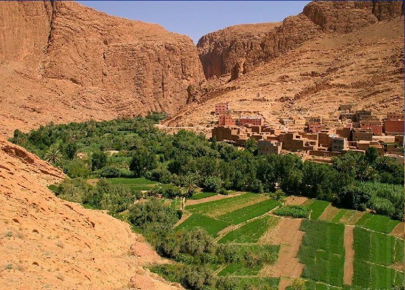 Tour 2 days from Ouarzazate to Merzouga | Gorges du Todra - Draa Valley